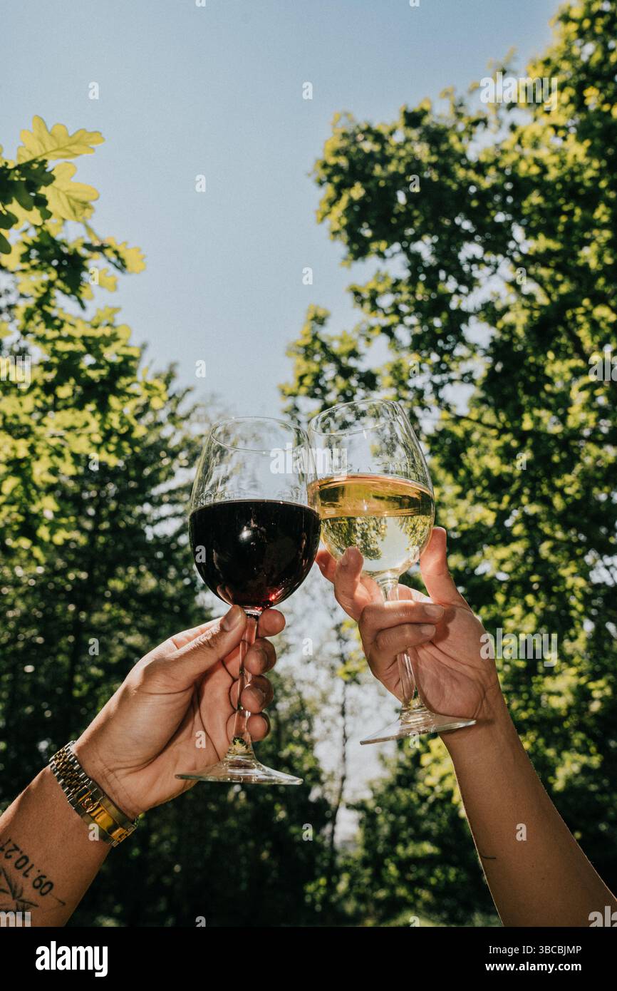 Two People Are Holding Wine Glasses And Raising Them In A Toast The 2885