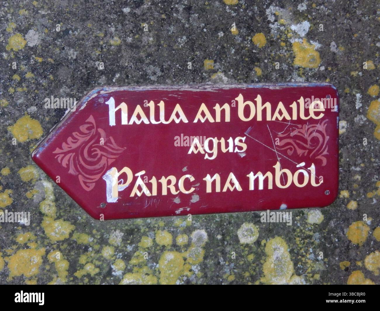 Rustic Irish Directional Signpost with Gaelic Text on a Weathered Wall ...