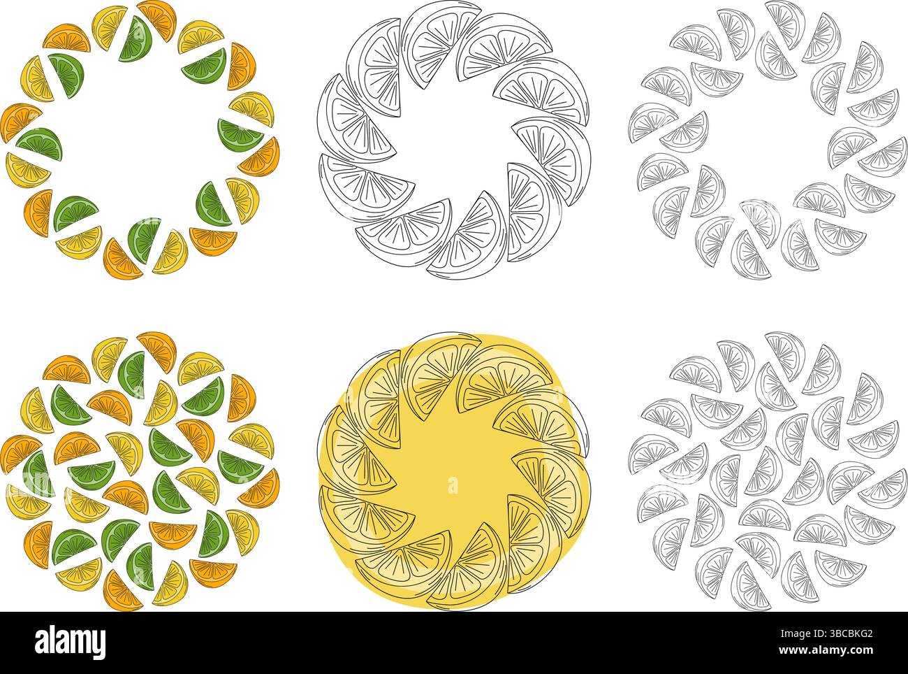 Lemon Lime Orange Citrus slices Outline and Colorful Circle Frames Copy ...