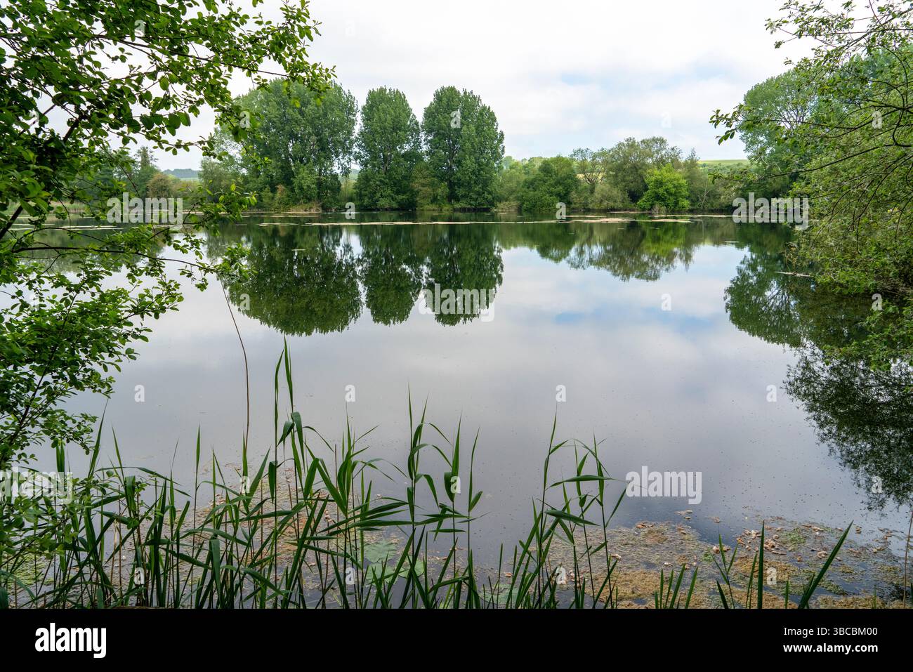 Langford Lakes nature reserve near Salisbury UK Stock Photo - Alamy