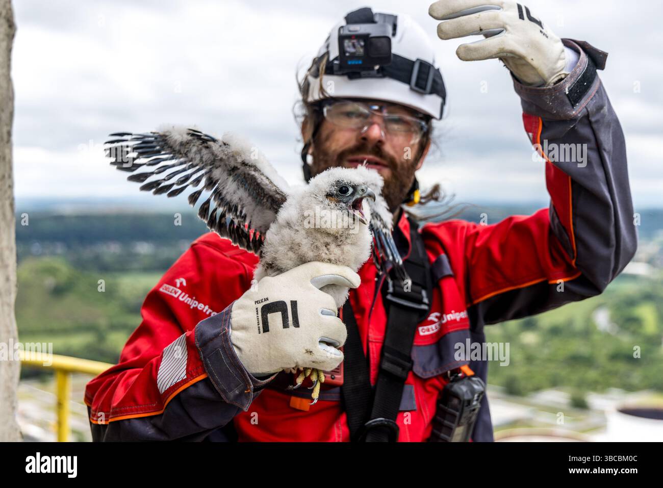 Kralupy Nad Vltavou, Czech Republic. 19th May, 2025. Ornithologist ...