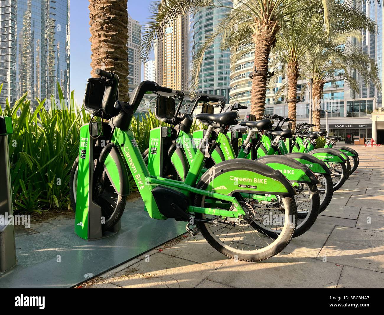 Bicycles parked at public bike rental station. Healthy lifestyle ...