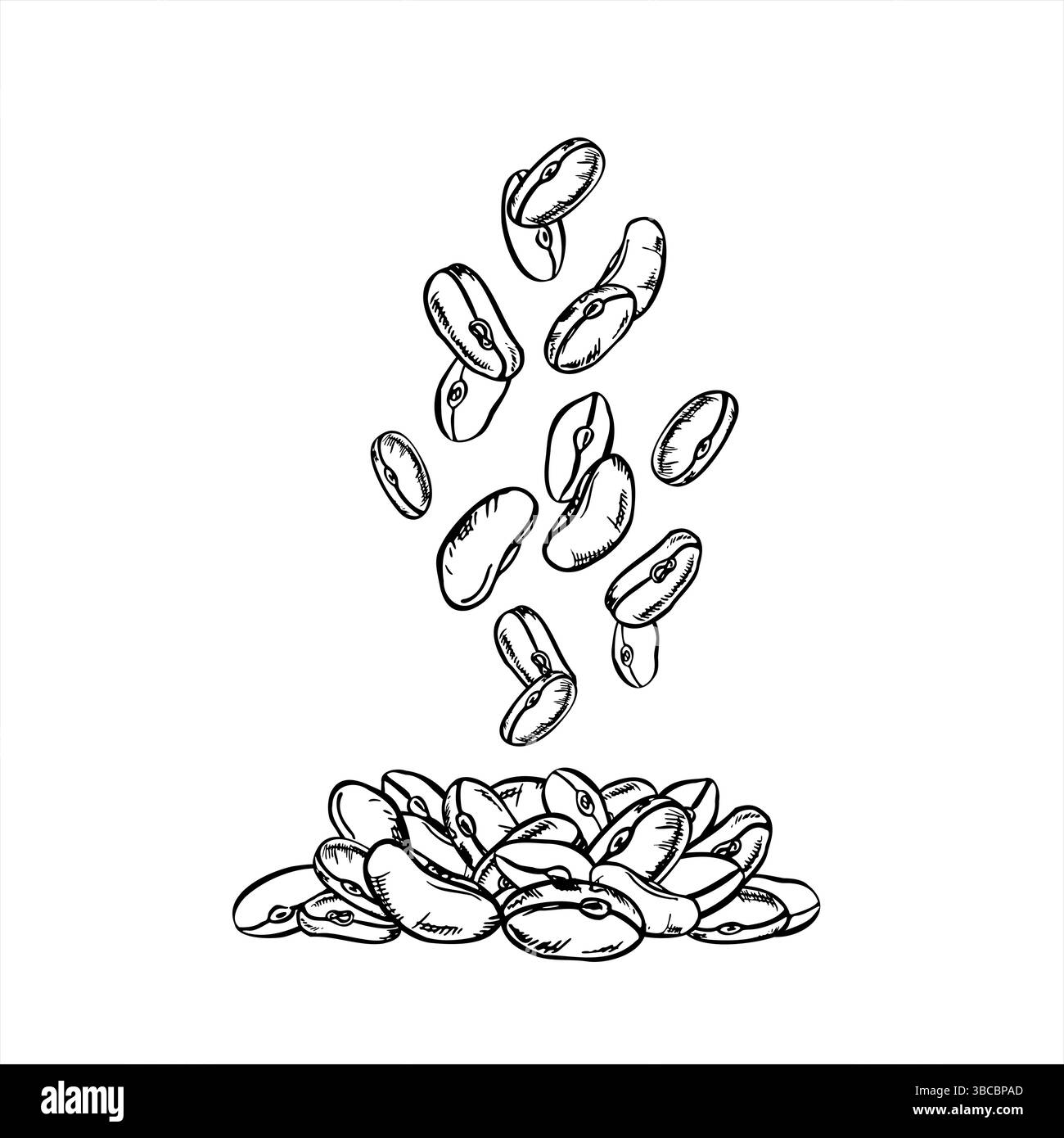 Falling beans forming pile dynamic monochrome vector illustration ...