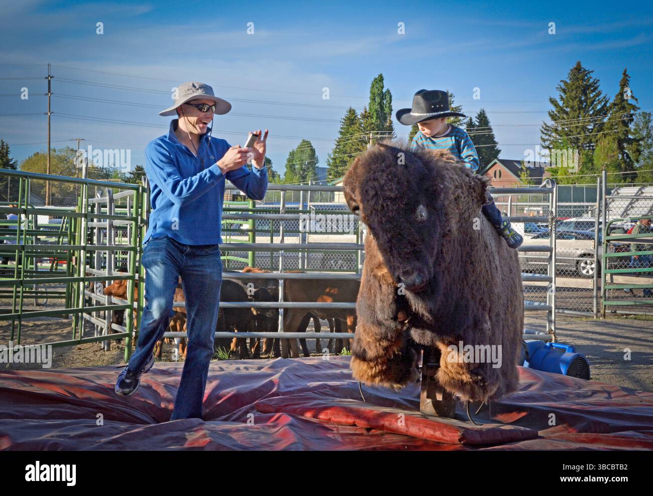 A father taking a photo of his son on a mechanical bison at the rodeo ...