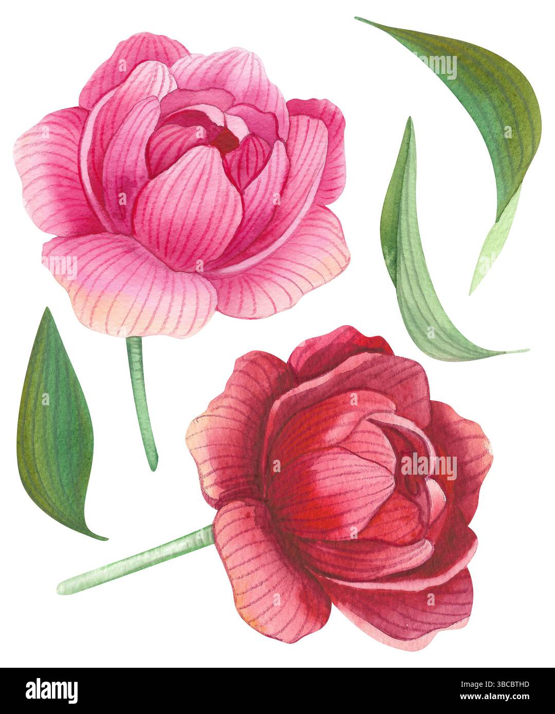 Greeting cards printing Cut Out Stock Images & Pictures - Alamy