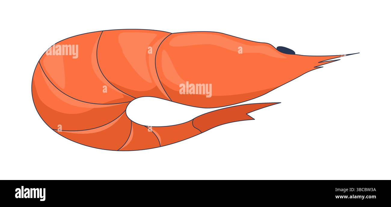 Whole orange shrimp in curled position 2D cartoon object Stock Vector ...