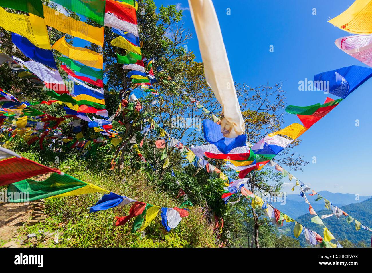 Flying colourful Buddhist religious prayer flags with green leaves and ...