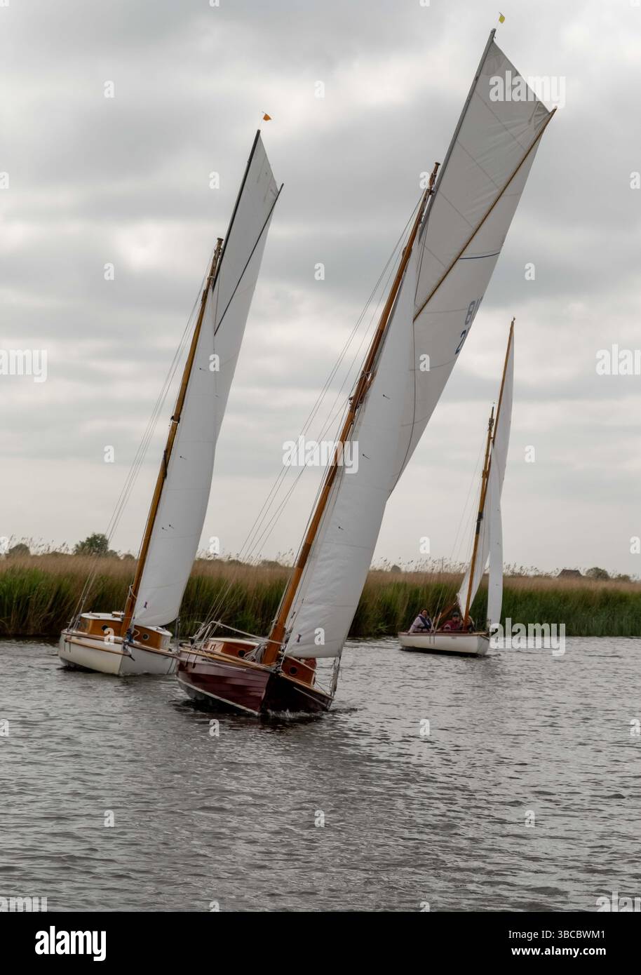 Upton, Norfolk, UK – May 18 2025. River Cruisers racing down the River ...