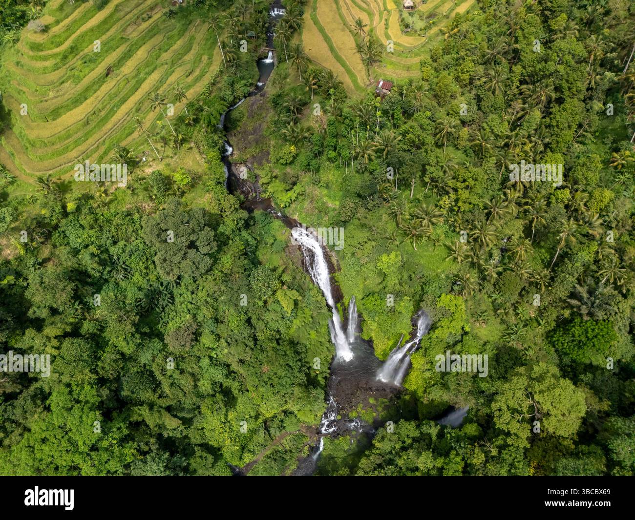 Aerial view of rice terrace and Fiji waterfalls in Lemukih Village ...