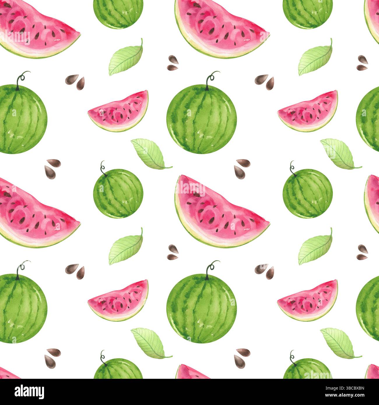 Watercolor illustration set, watermelon, leaves, seamless pattern ...