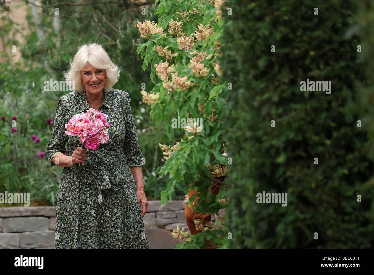 Britain's Queen Camilla holds roses called "The King's Rose" of David ...