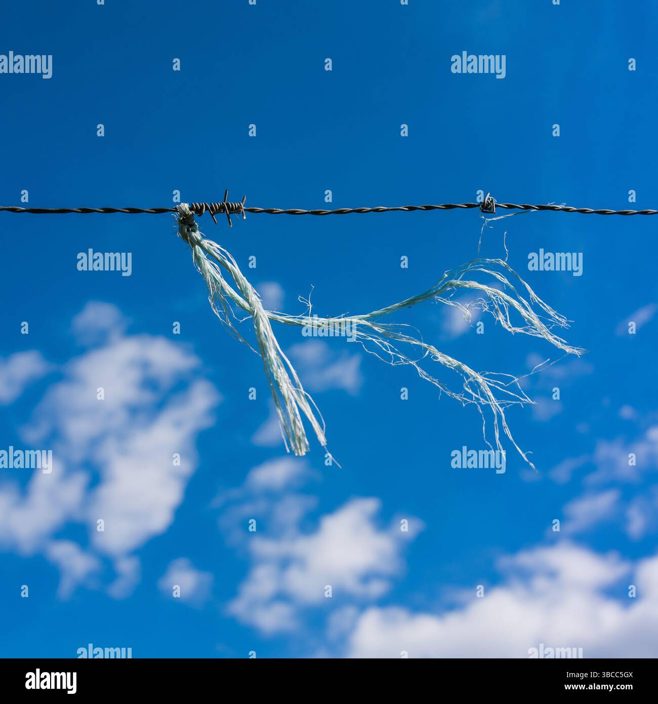 A frayed string hangs from a barbed wire fence, contrasting with the bright blue sky dotted with ...