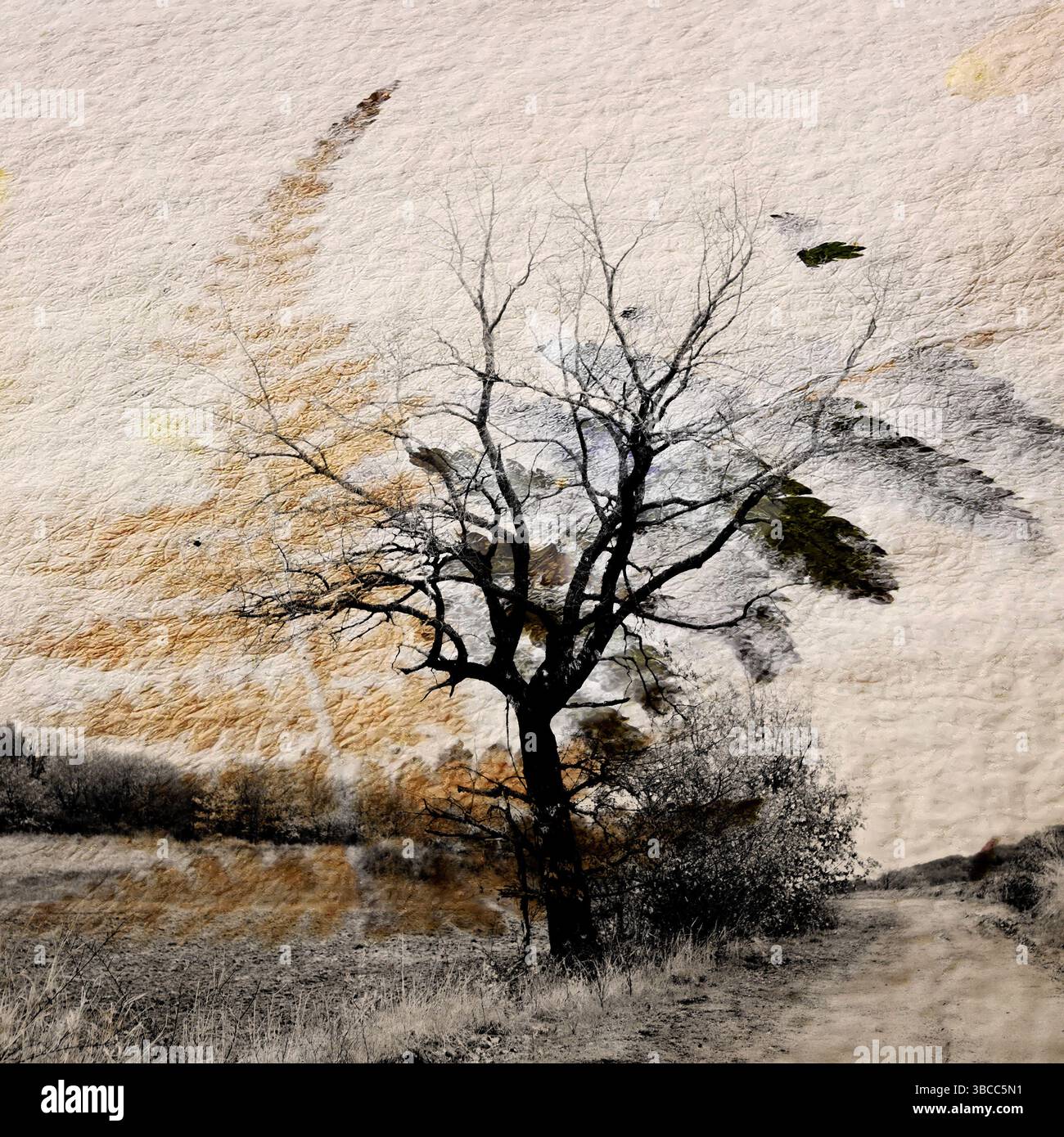 Winter seasonal landscape hi-res stock photography and images - Alamy