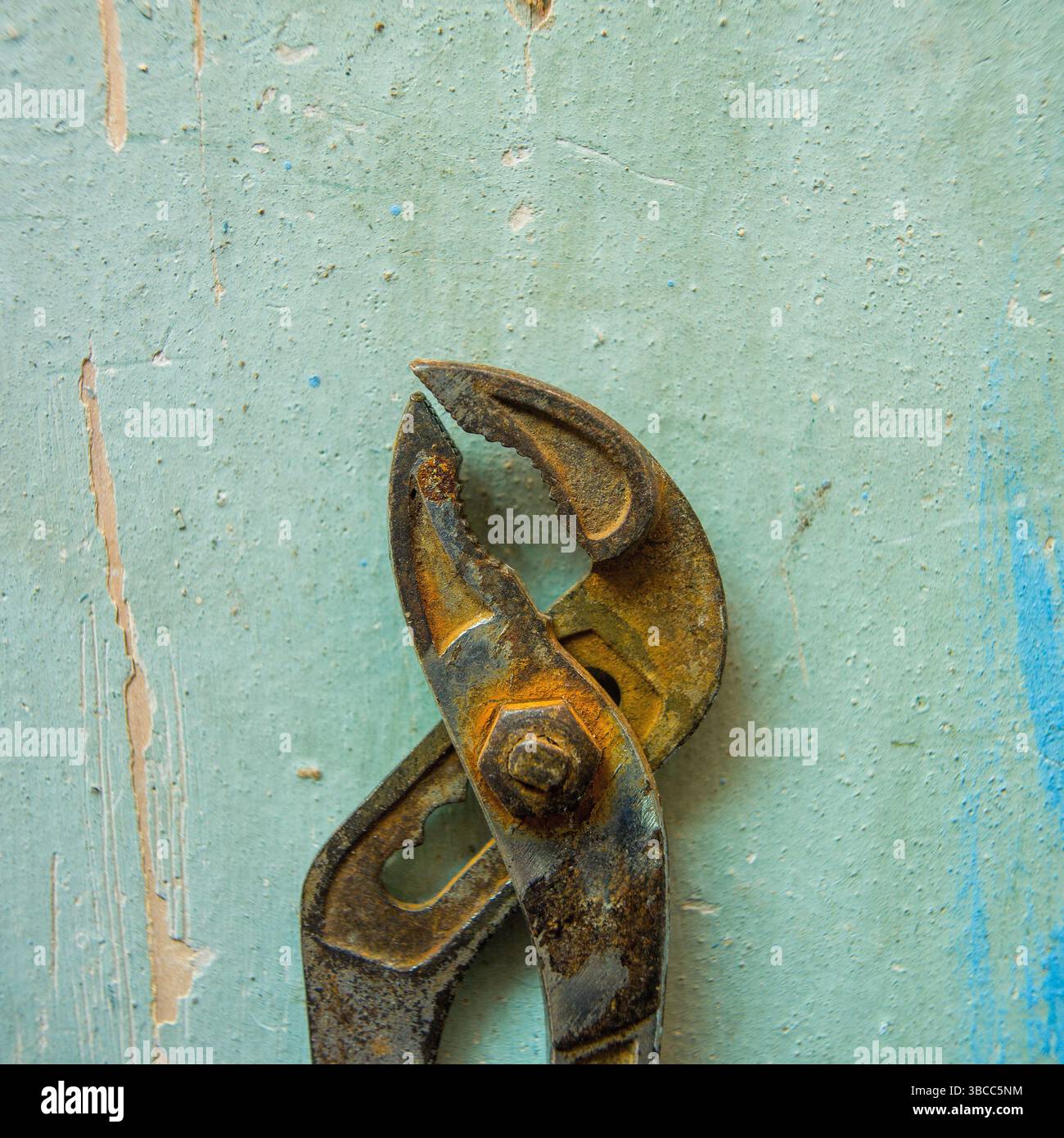 A pair of rusty pliers hangs on a worn blue wall, showcasing the wear ...
