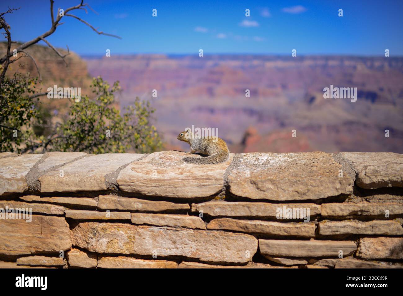 Lookout point on rim hi-res stock photography and images - Alamy