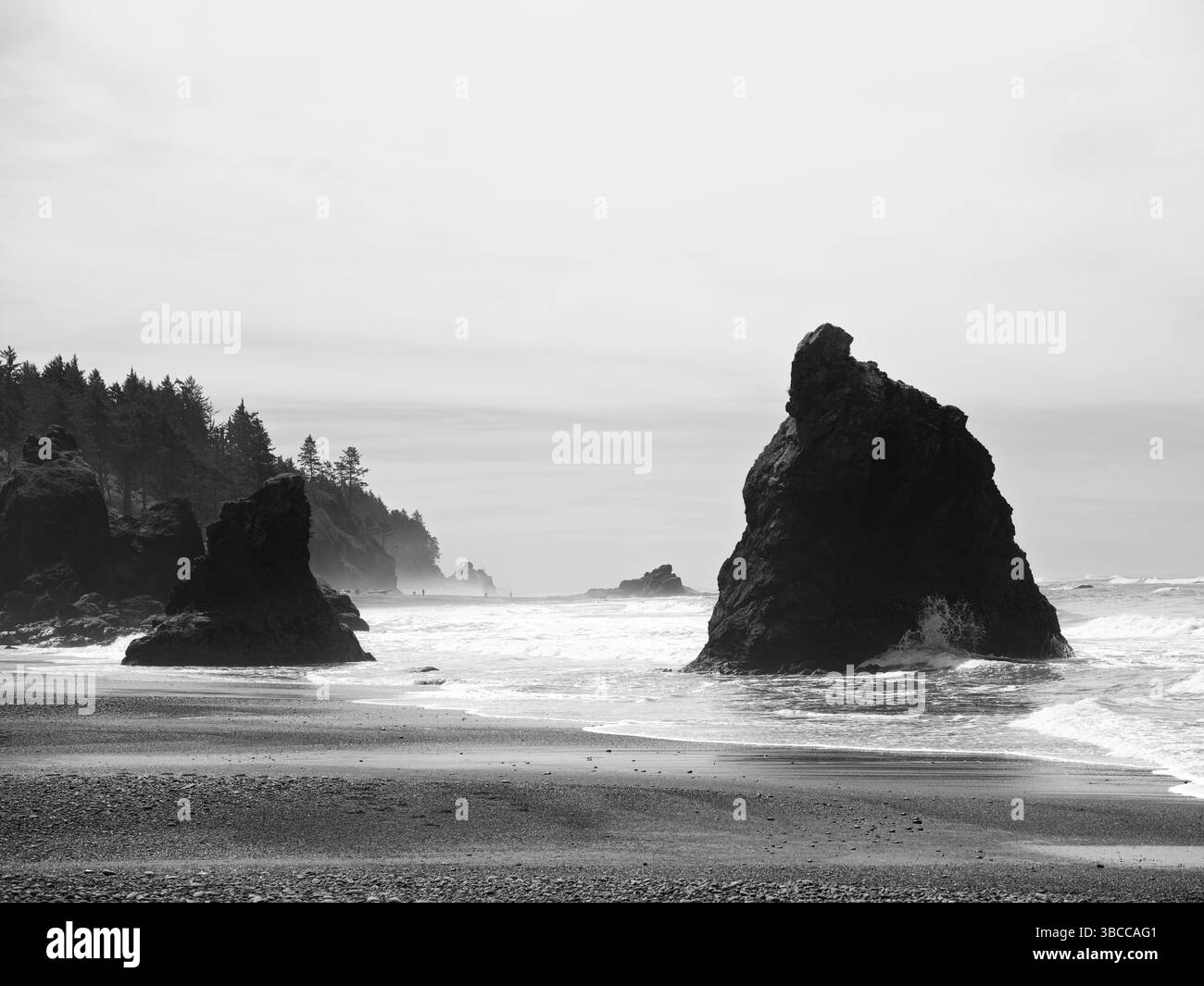 A black and white photograph of Ruby Beach along the coast of ...