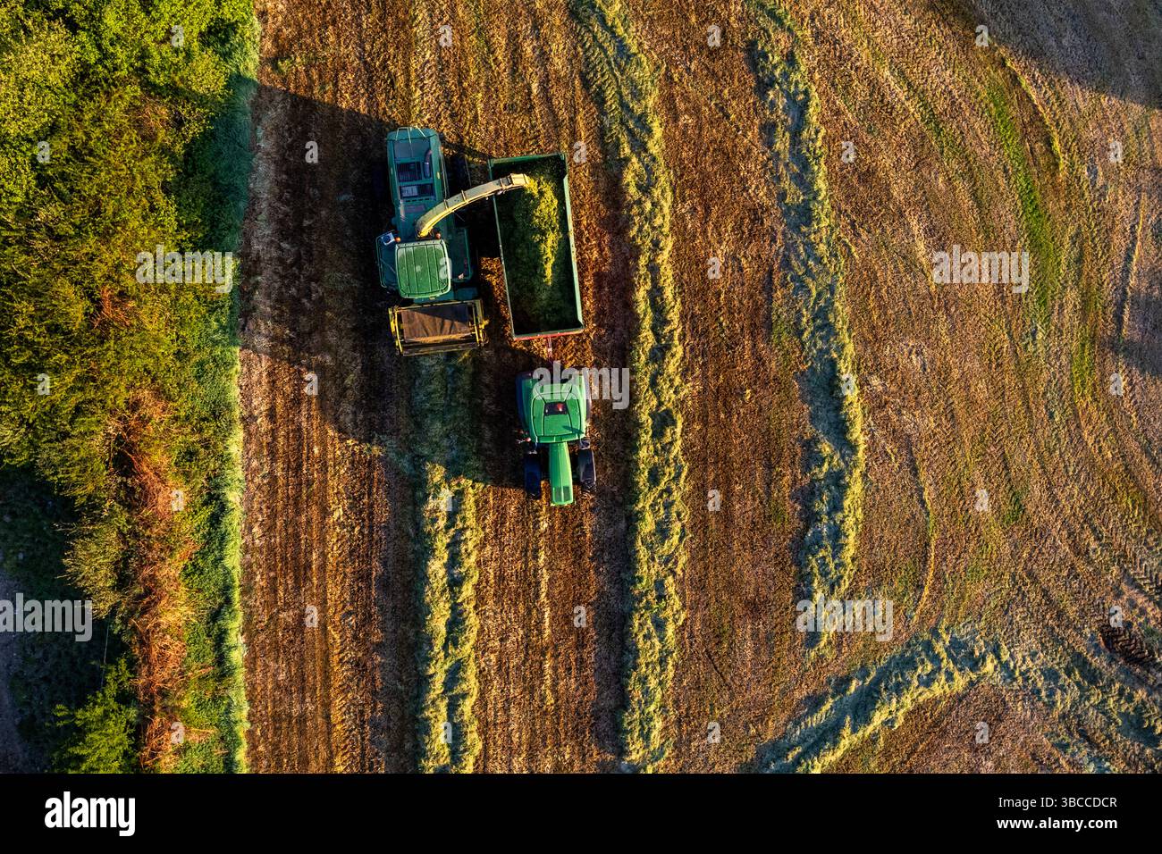 Silage collecting at sunrise in Connonagh, West Cork, Ireland Stock ...
