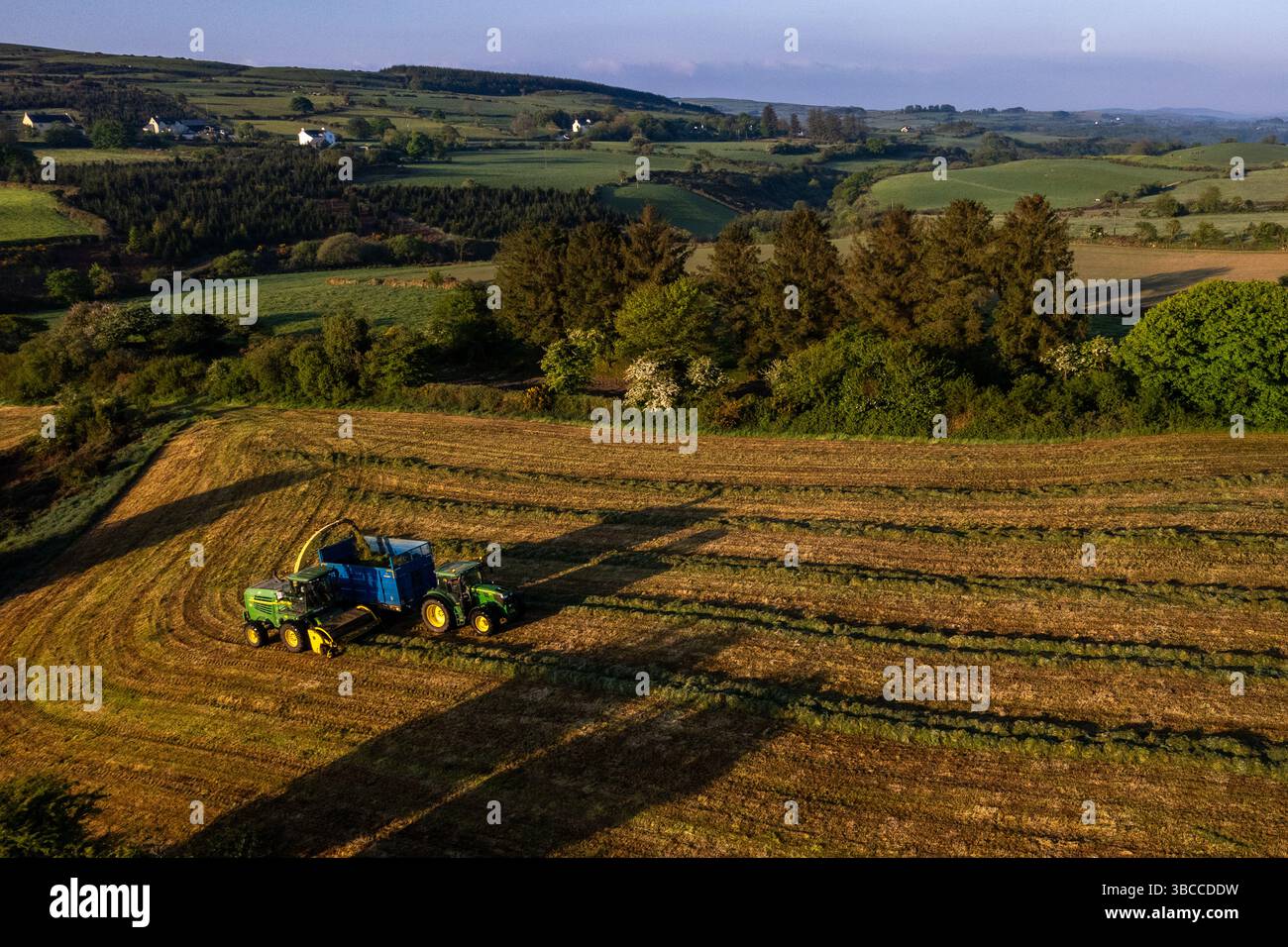 Silage collecting at sunrise in Connonagh, West Cork, Ireland Stock ...