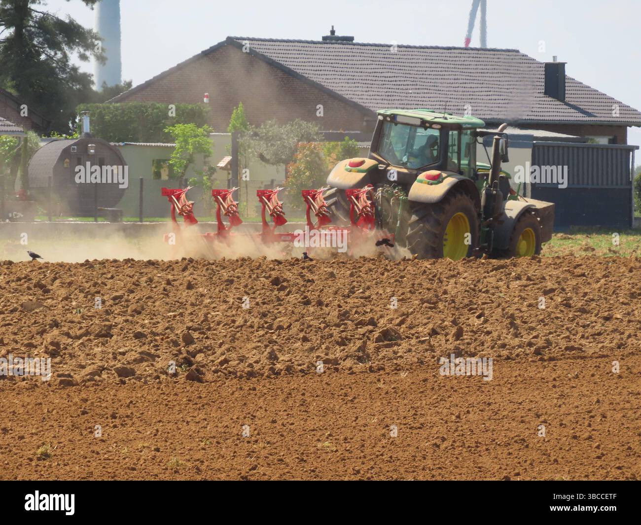 ...da geht richtig der Staub ab - die Boeden sind knoecheltief ...