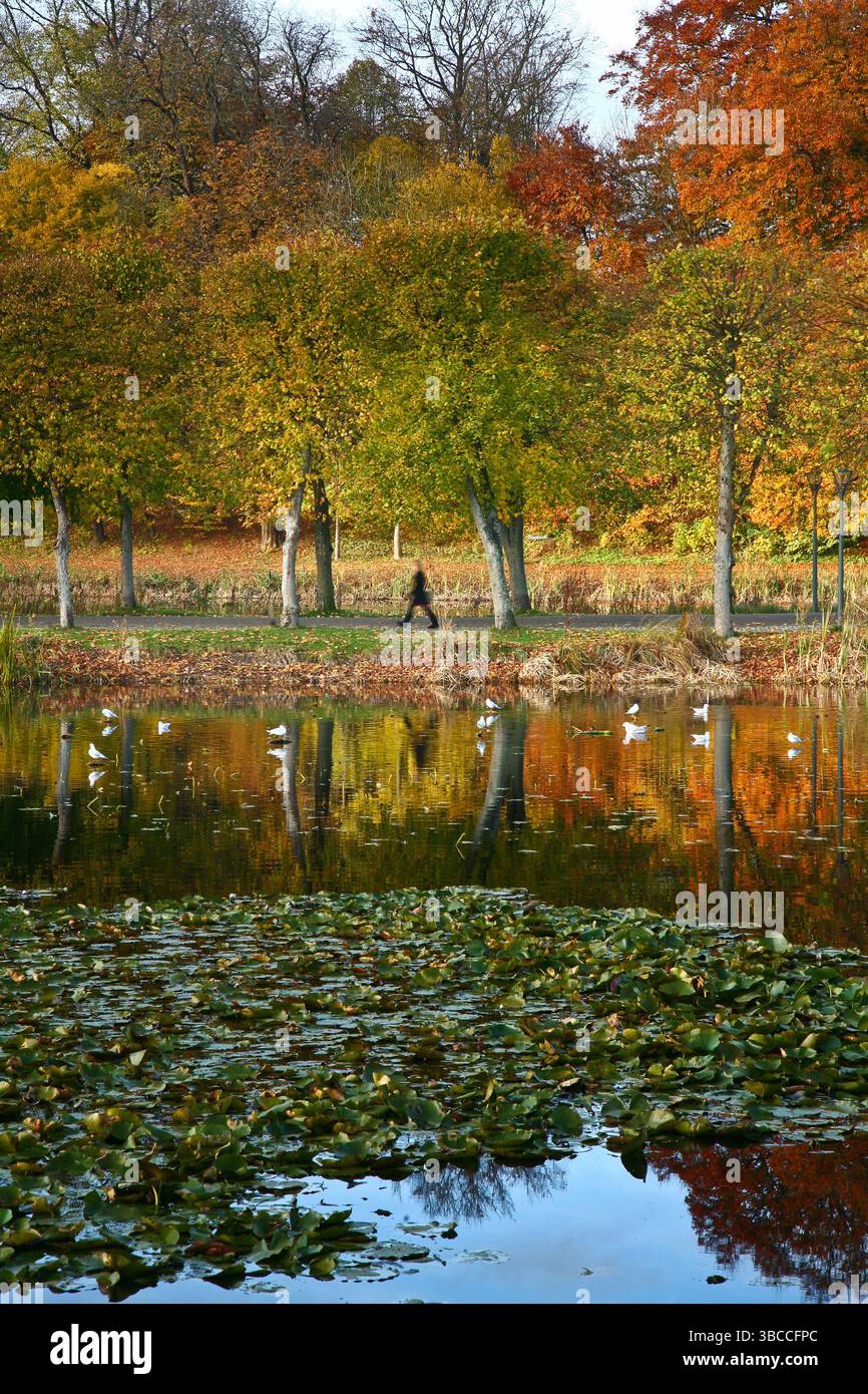 Colorful nature and view from autumn season in Denmark Stock Photo - Alamy