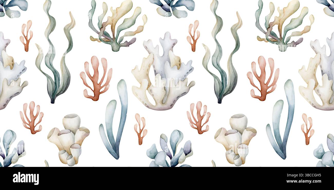 Sea plants. Seaweeds coral sponge. Watercolor hand painted summer ...