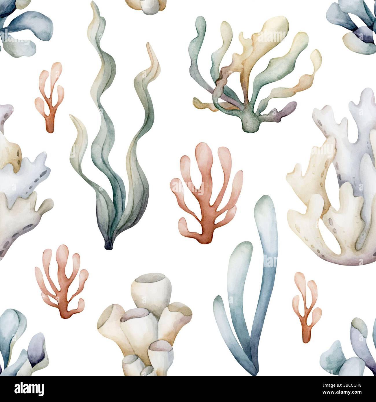 Sea plants. Seaweeds coral sponge. Watercolor hand painted summer ...