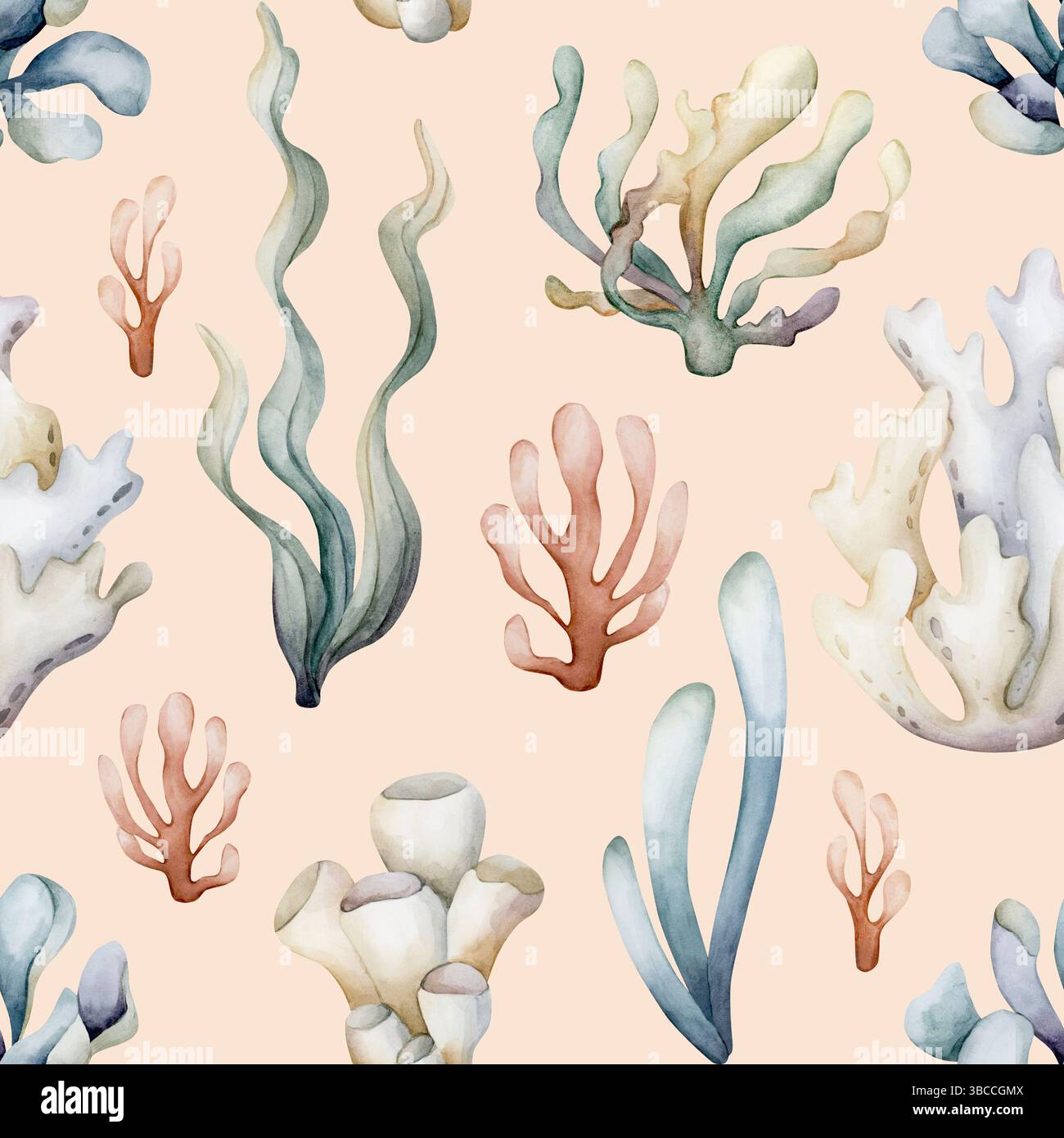 Sea plants. Seaweeds coral sponge. Watercolor hand painted summer ...