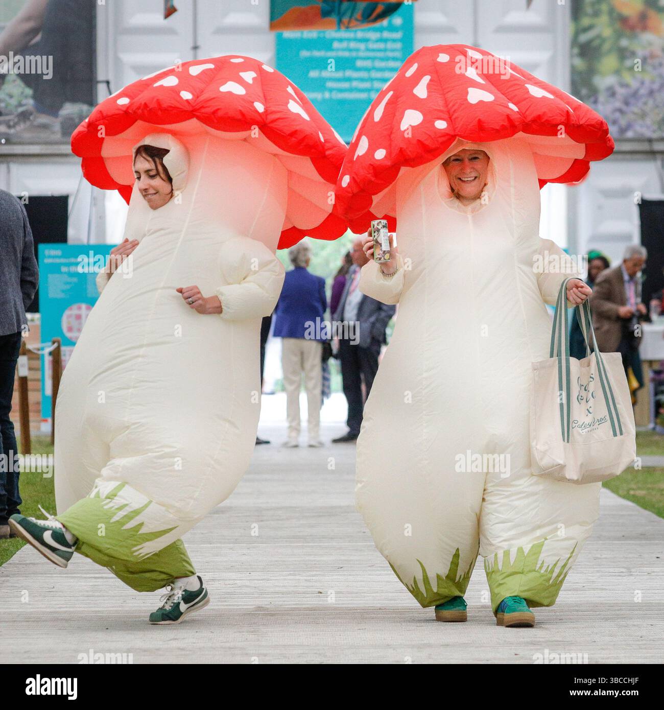 London, UK. 19th May, 2025. Dancing Mushrooms from Caley Brothers ...