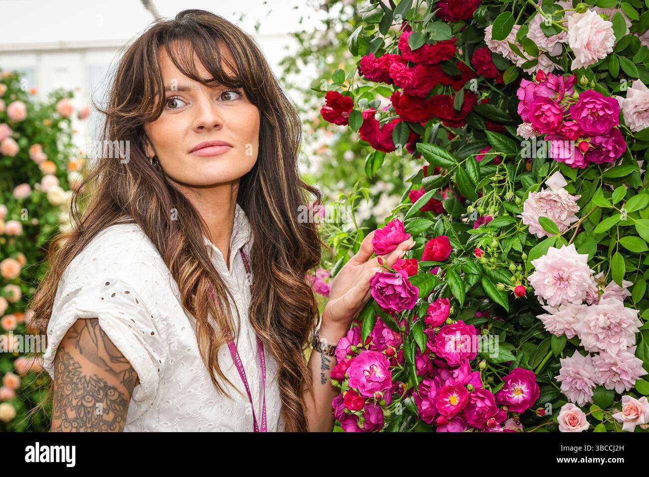 London, UK. 19th May, 2025. A member of the team at the Peter Beales ...