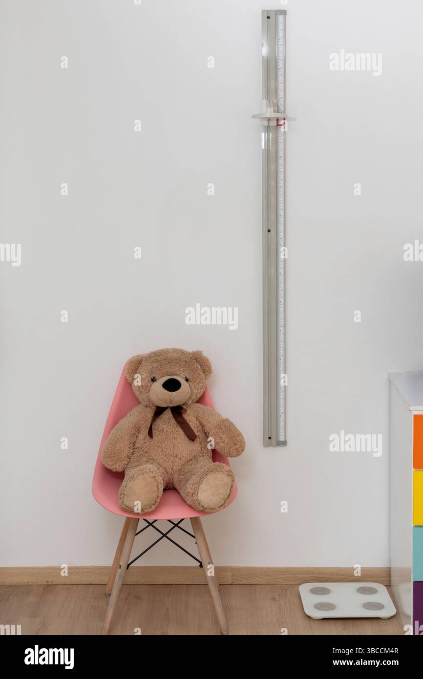 A ruler teddy bear hi-res stock photography and images - Alamy