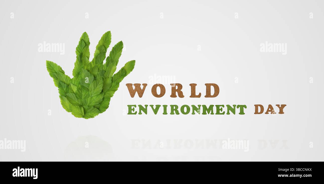 Mockup of the hand palm is made of green leaf on gray background. Beat ...