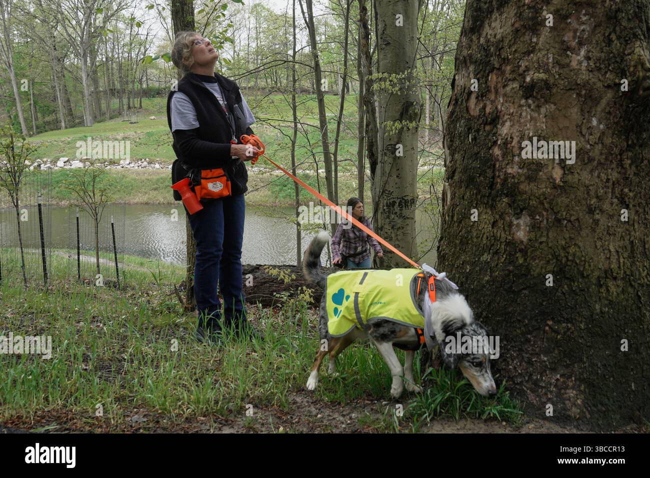Gail Samko and Australian Shepard-cattle dog mix, Rio, search for ...