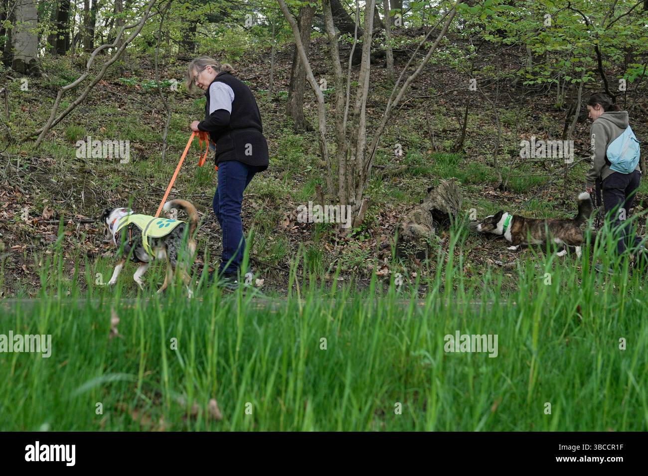 Gail Samko and her Australian Shepard-cattle dog mix, Rio, left, and ...