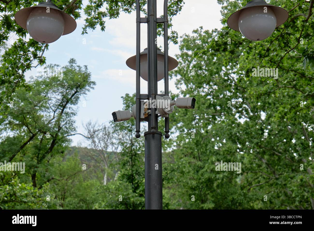 Security cameras installed in a park with green trees Stock Photo - Alamy
