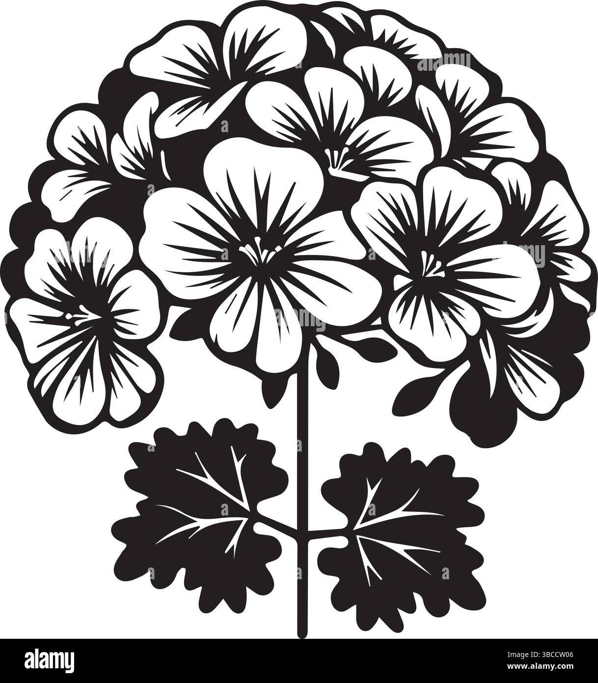 Geranium flower clipart hi-res stock photography and images - Alamy