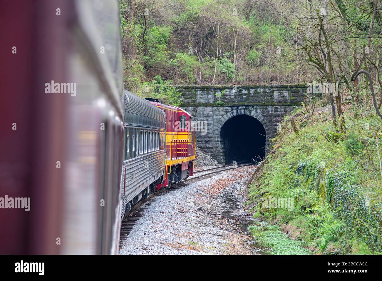 Chattanooga, Tennessee - A sightseeing train on the Tennessee Valley ...