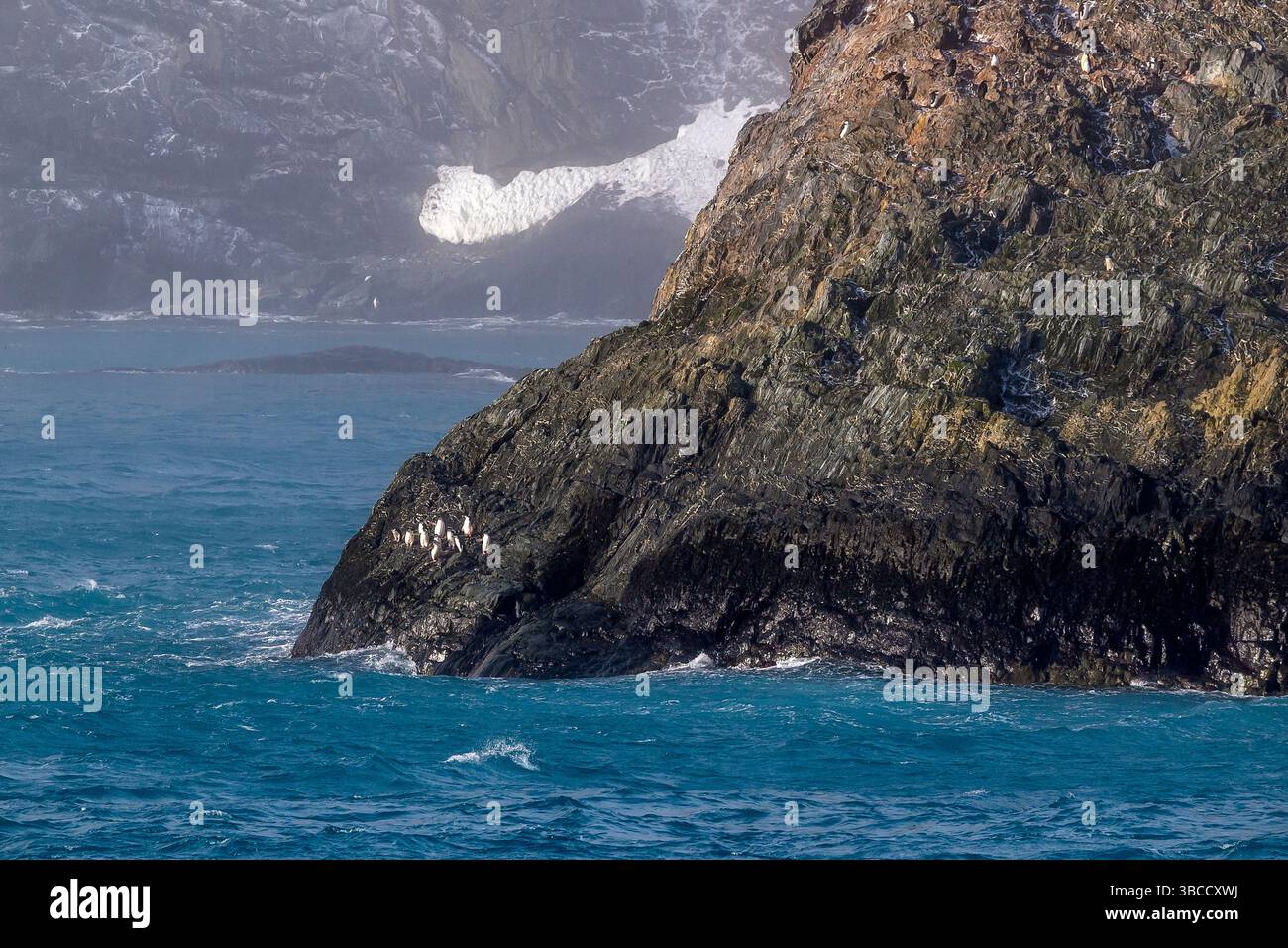 Elephant Island, at Antartica Peninsula. Antartica Stock Photo - Alamy