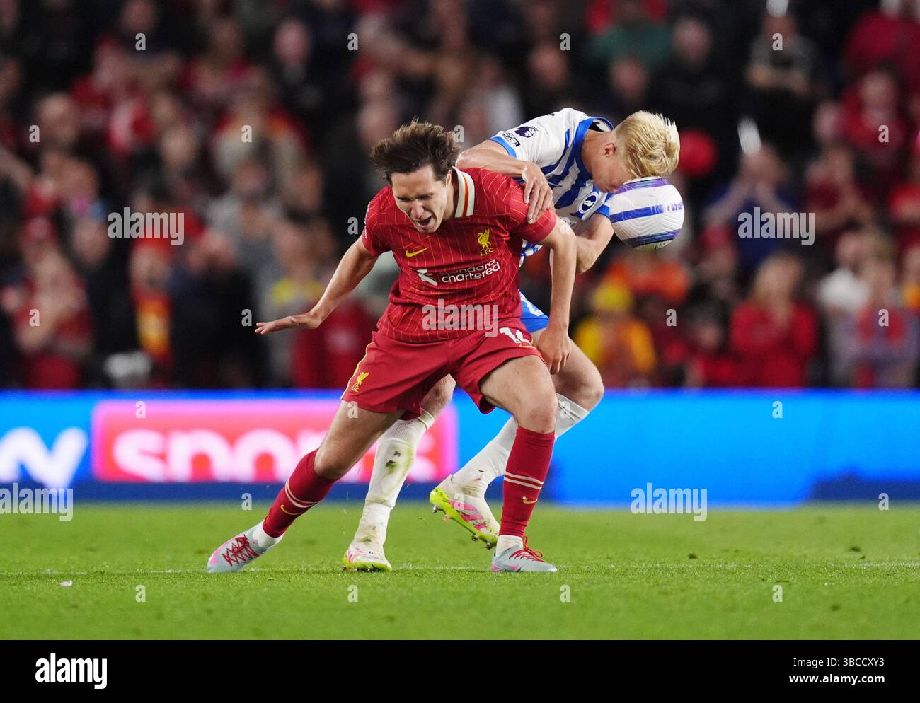Liverpool's Federico Chiesa and Brighton and Hove Albion's Jan Paul van ...