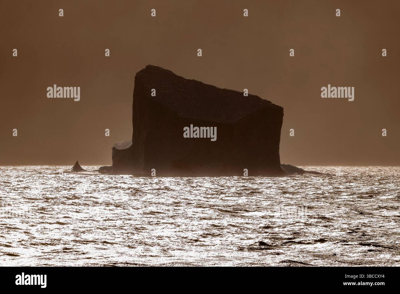 Elephant Island, at Antartica Peninsula. Antartica Stock Photo - Alamy