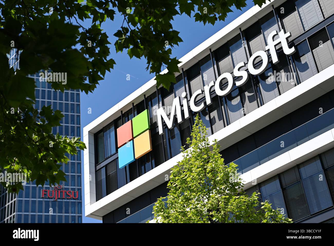 Munich, Deutschland. 19th May, 2025. MICROSOFT logo, lettering, company ...