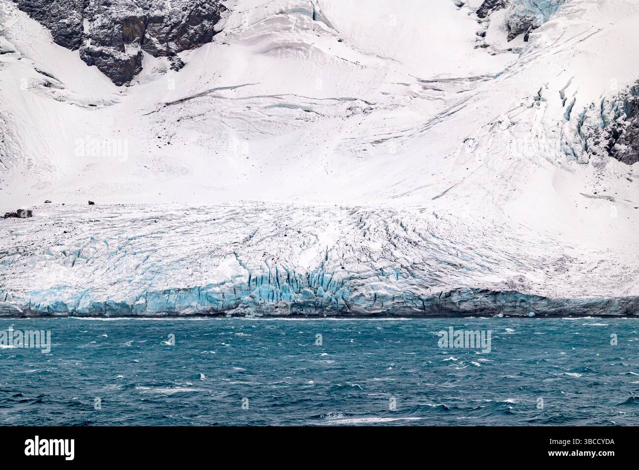 Elephant Island, at Antartica Peninsula. Antartica Stock Photo - Alamy
