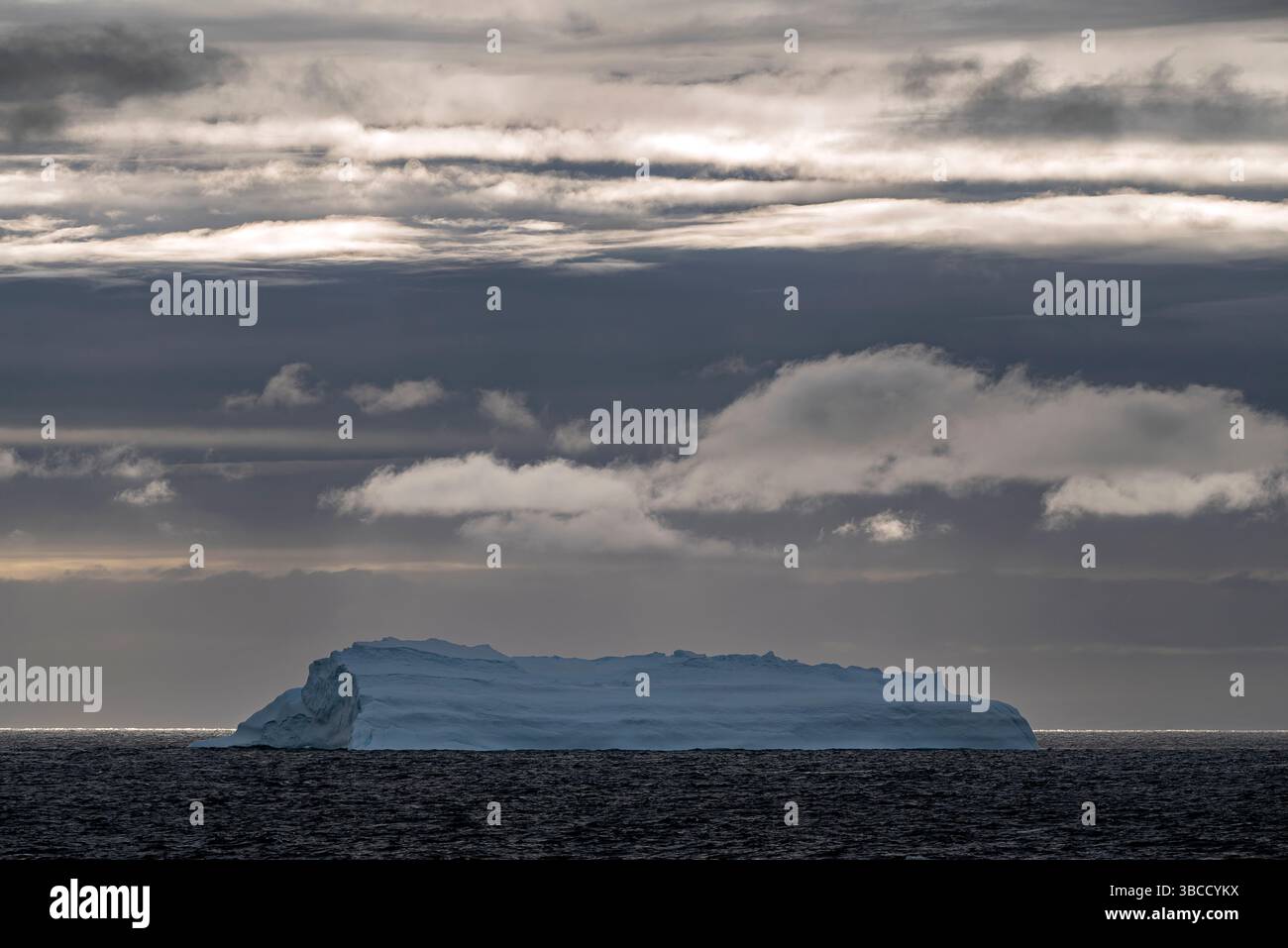 Elephant Island, at Antartica Peninsula. Antartica Stock Photo - Alamy