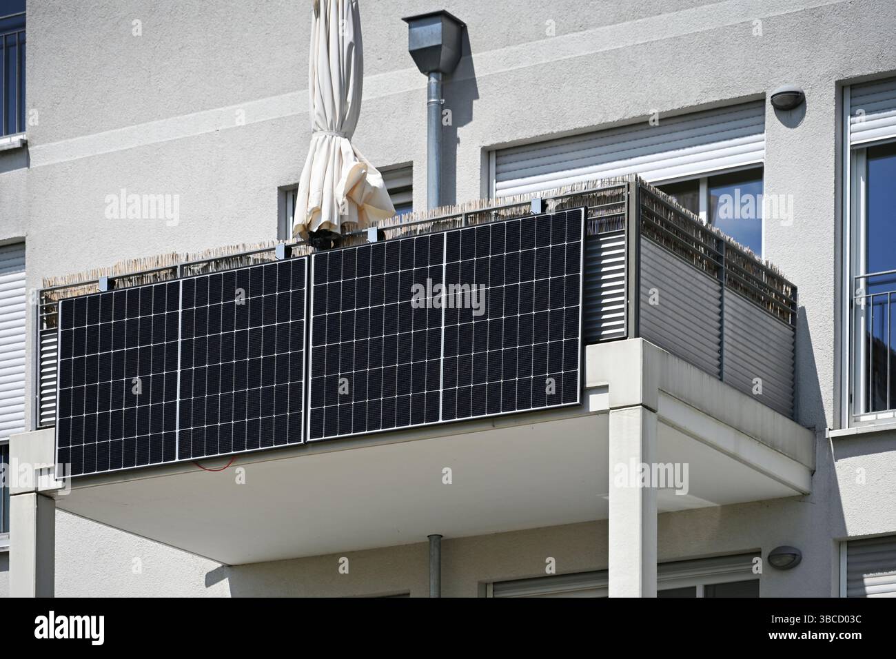 Munich, Deutschland. 19th May, 2025. Balcony power plant on the railing ...