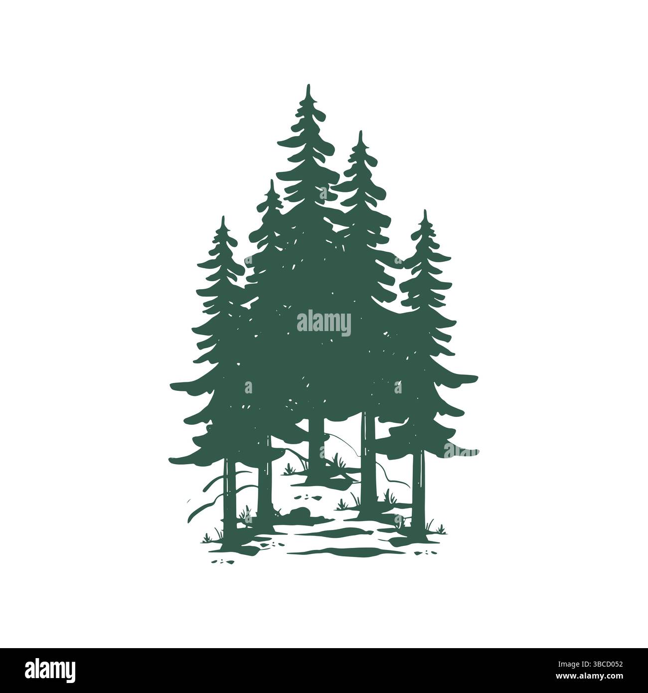 Fir tree vector icon illustration in green. Fir trees silhouettes ...