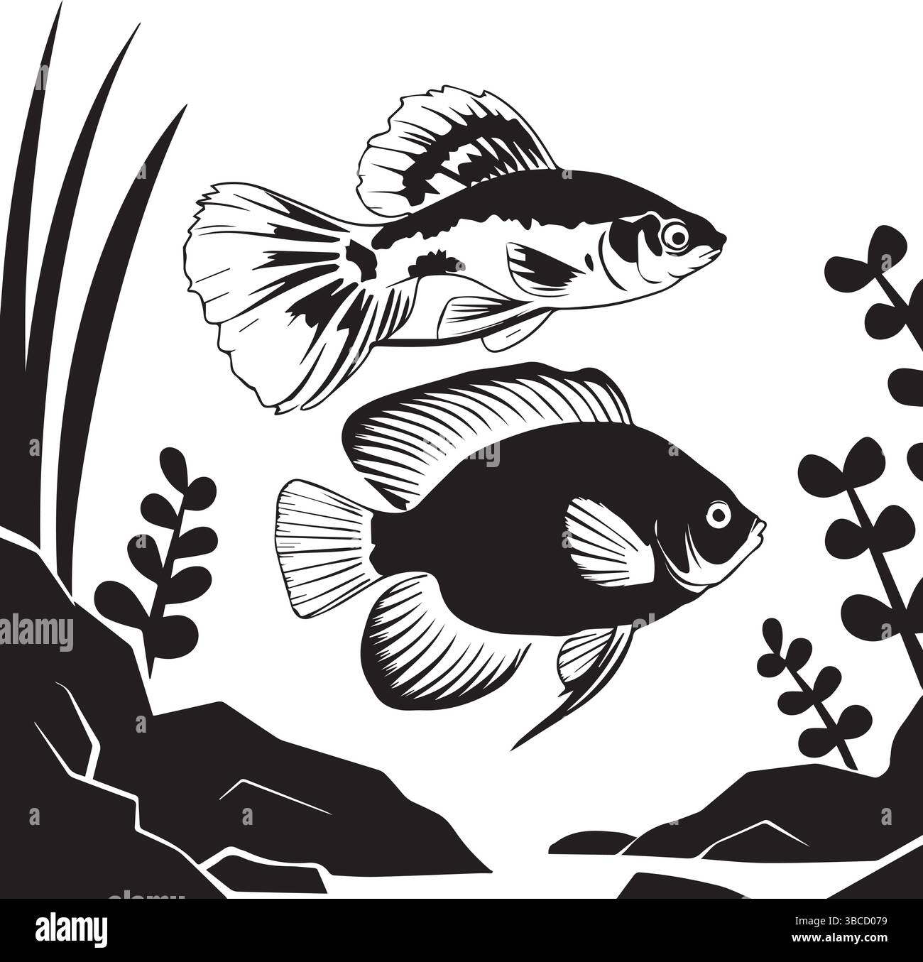 Minimalist Black and White Fish Vector Illustration with Aquatic Plants ...