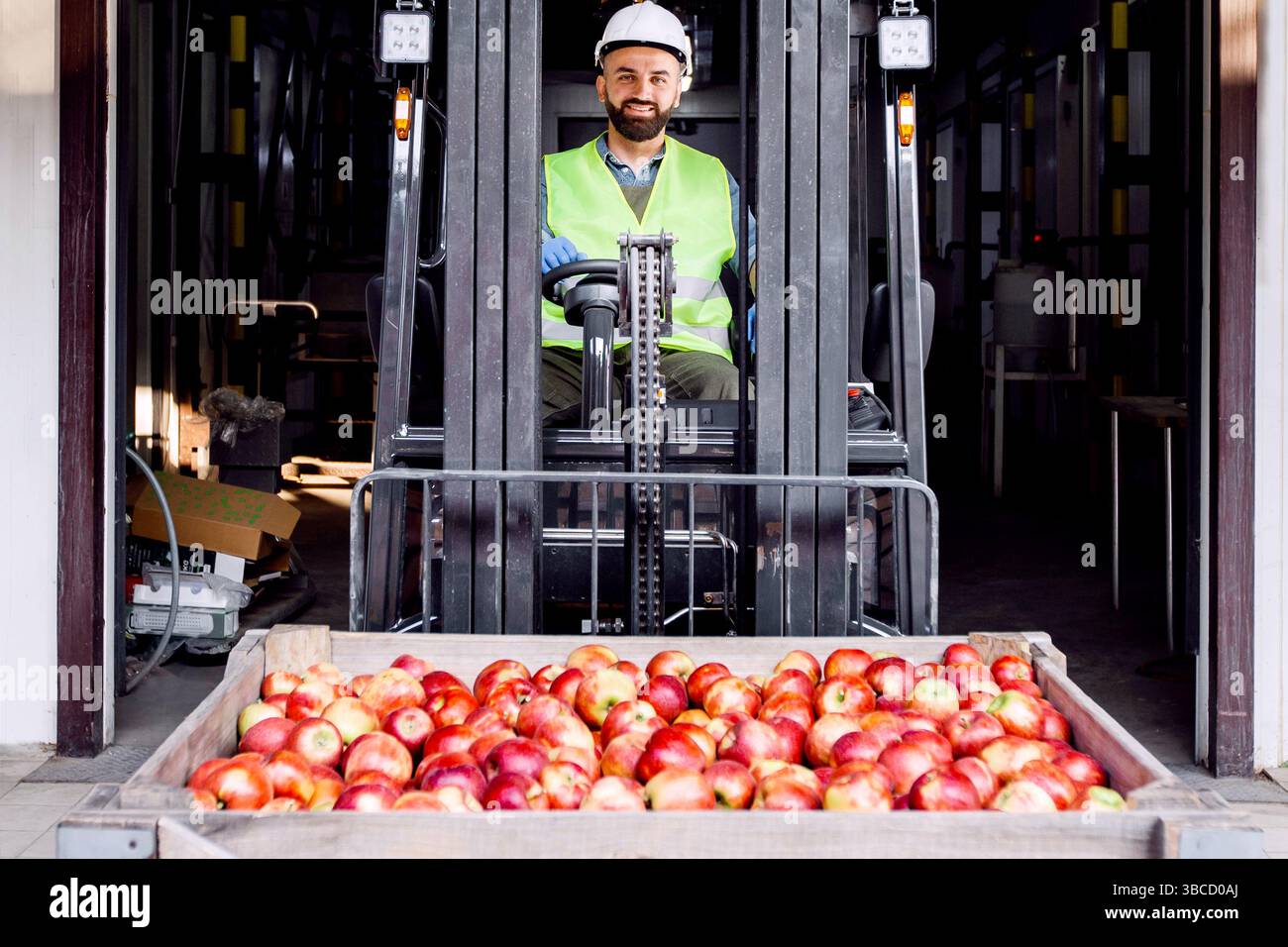 Distribution, logistics, delivery and storage of fruits for sale and ...