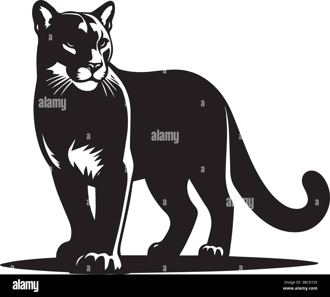 Puma theme hi-res stock photography and images - Alamy