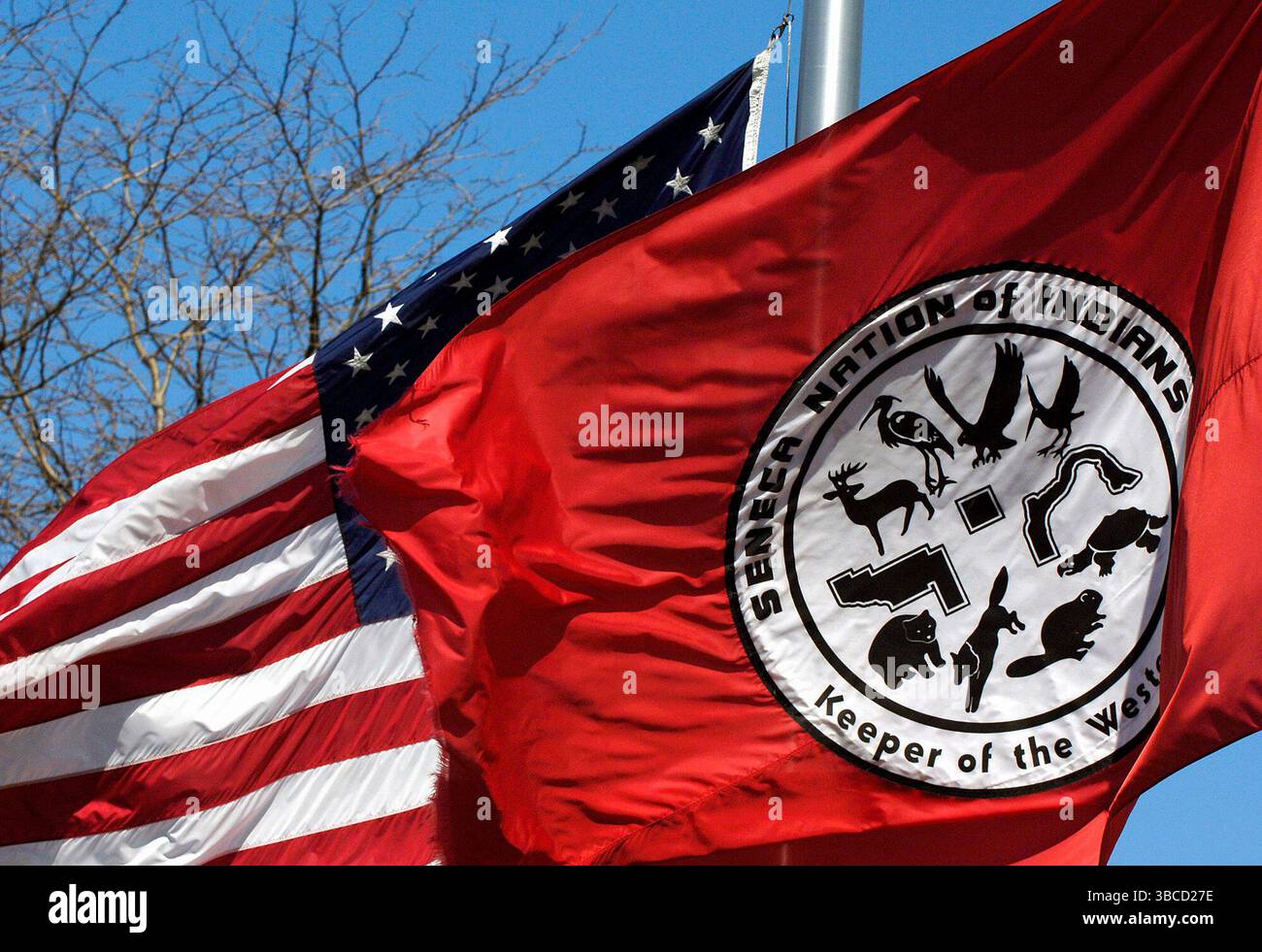 FILE - A Seneca Nation of Indians flag waves alongside an American flag ...