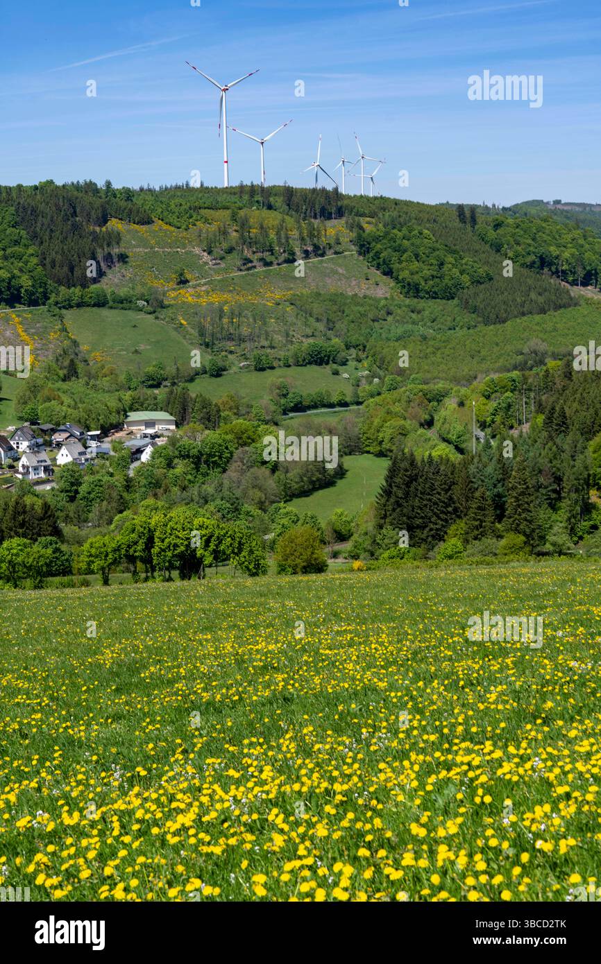 Brunskappel im Negertal, Ortsteil von Olsberg im Sauerland ...