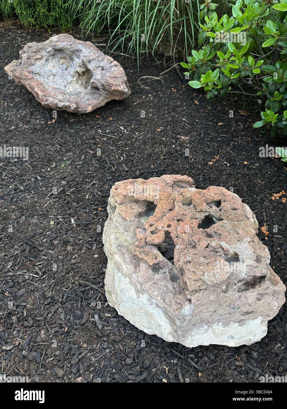 Pot rock - volcanic rocks with holes - in a garden before being filled ...